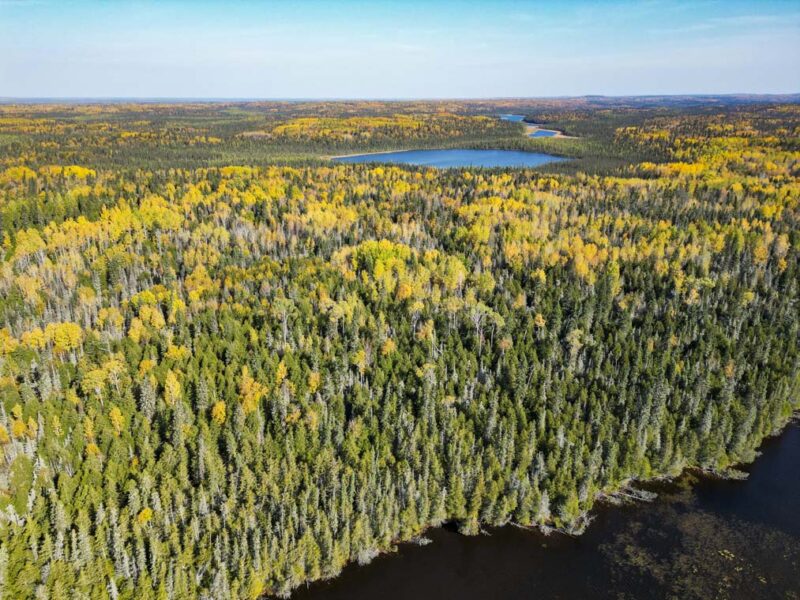 Taiga Forest Carbon Project Forest Management Project - Perimeter Forest