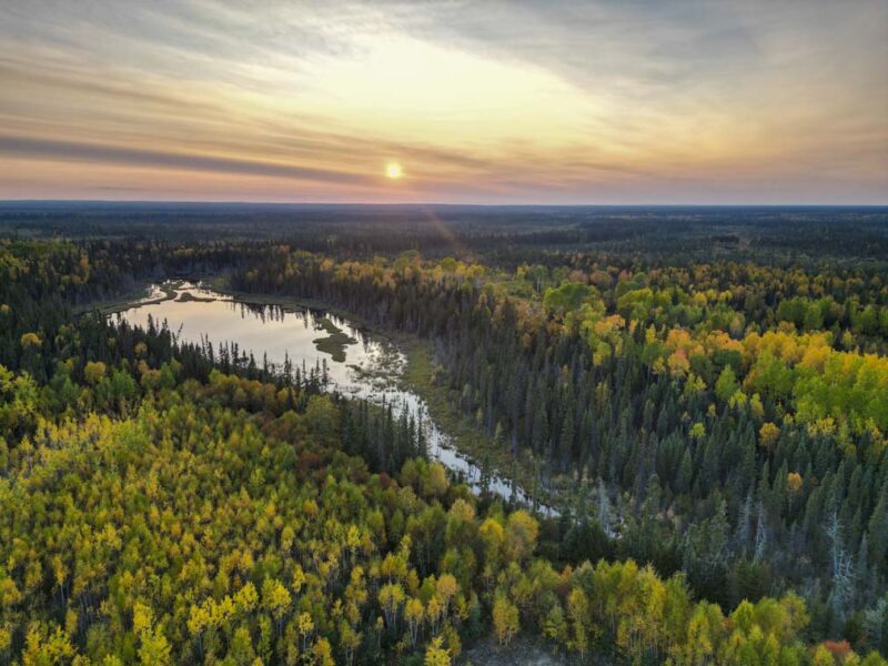 Taiga Forest Carbon Project Forest Management Project - Perimeter Forest